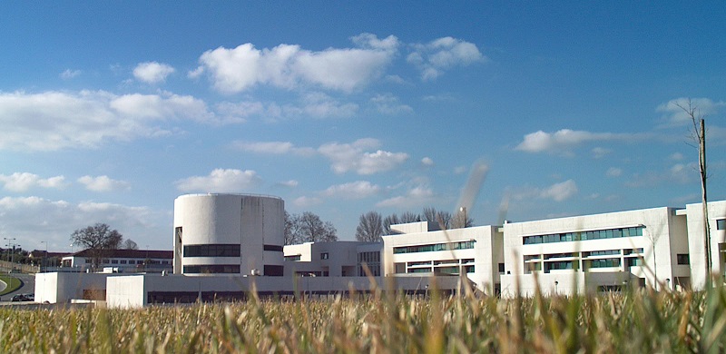 ESTGV recebe Bandeira Verde Eco-Escolas